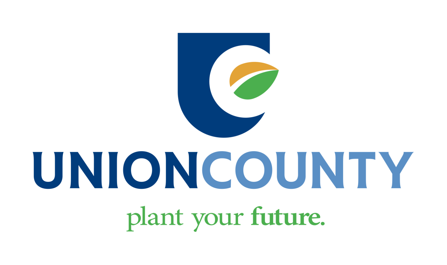 Union County, North Carolina Case Study | North Star Place Branding